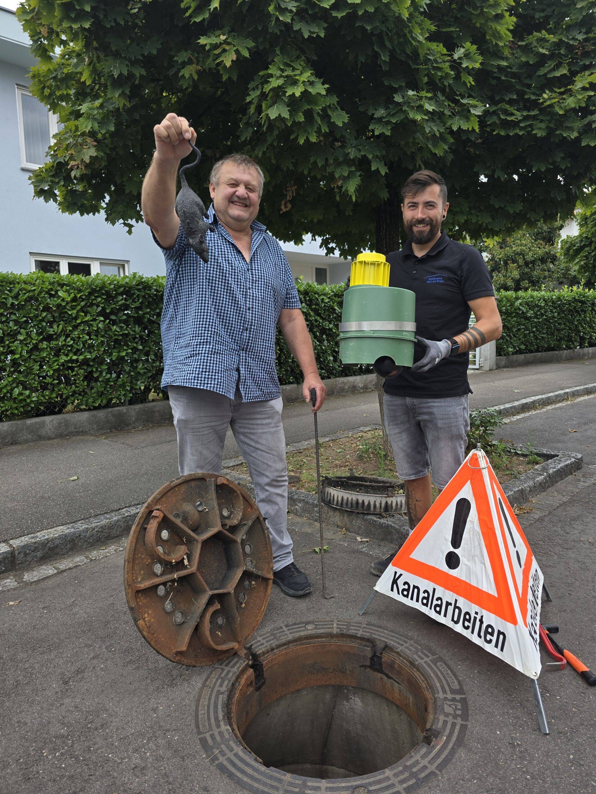Weil am Rhein: Bekämpfung Ratten, Monitoring funktioniert